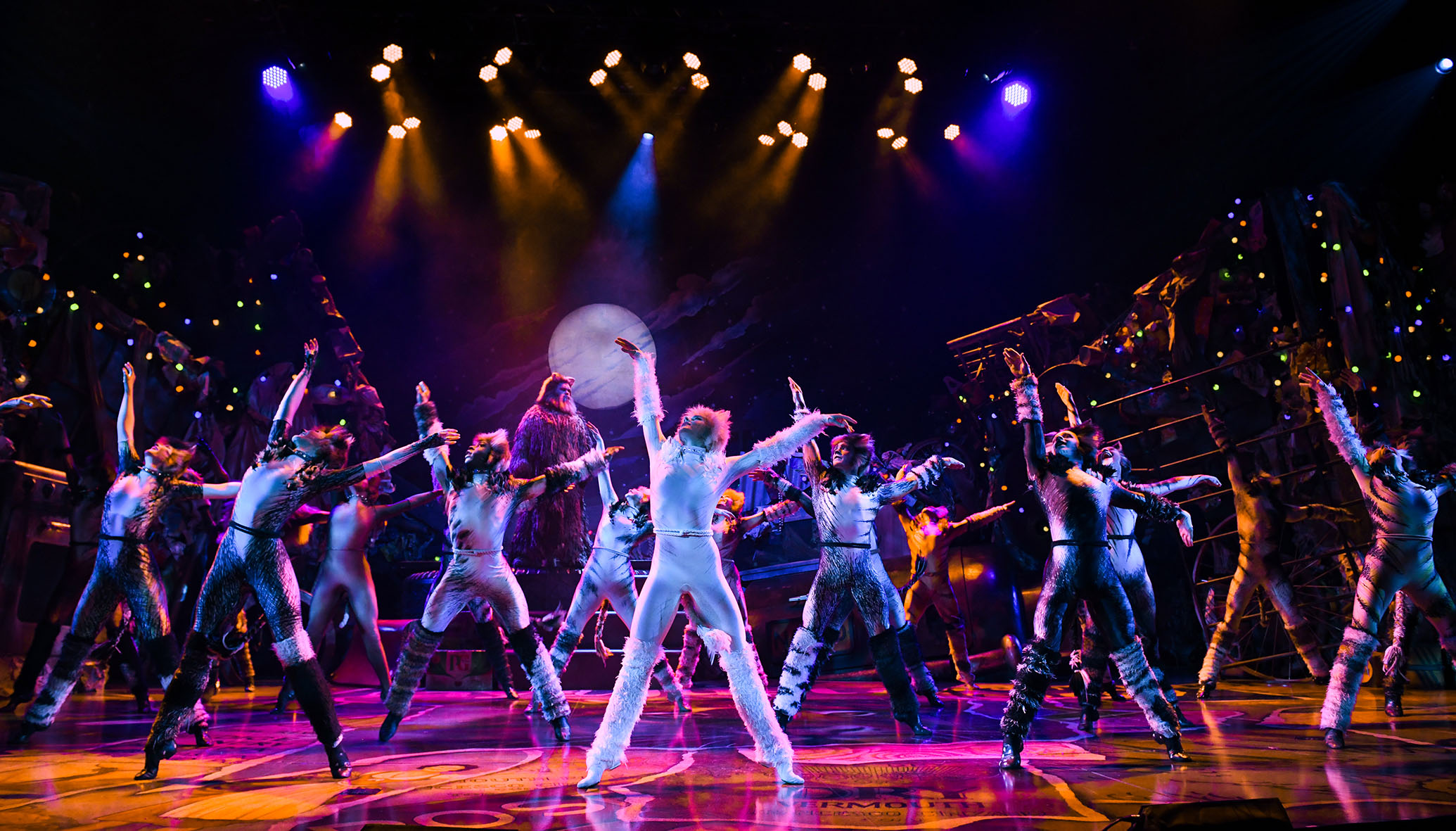 Reportage del musical "Cats" di Andrew Lloyd Webber